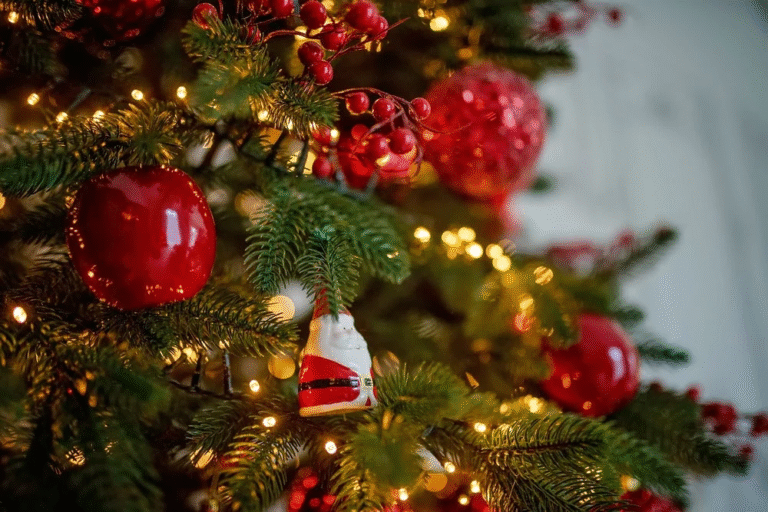 Holiday Decor Trends 2025 South Africa: Protea, Fynbos & Braai Vibes